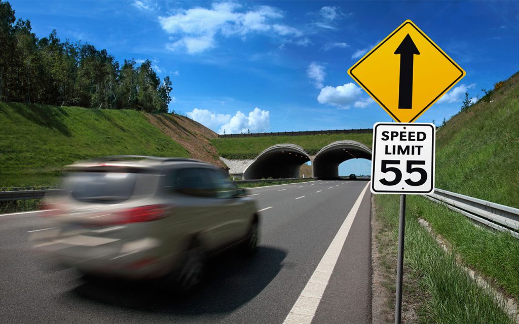 Why Speed Limit Is Necessary - Myles Self Drive Car Rental & Subscription