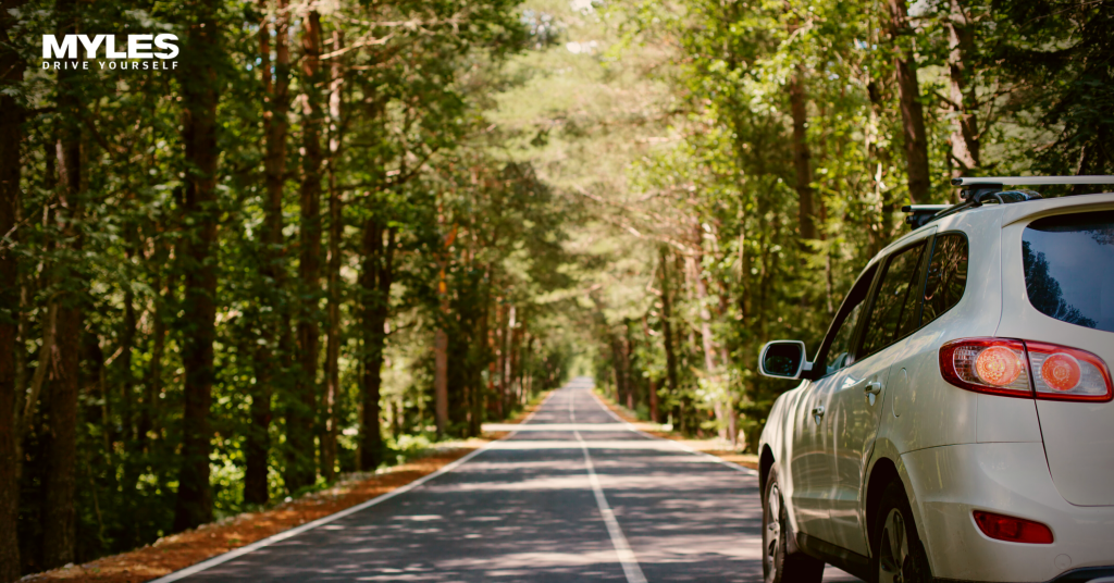 Beat the Heat: 7 Tips to Keep Your Car Cool This Summer - Myles Car ...